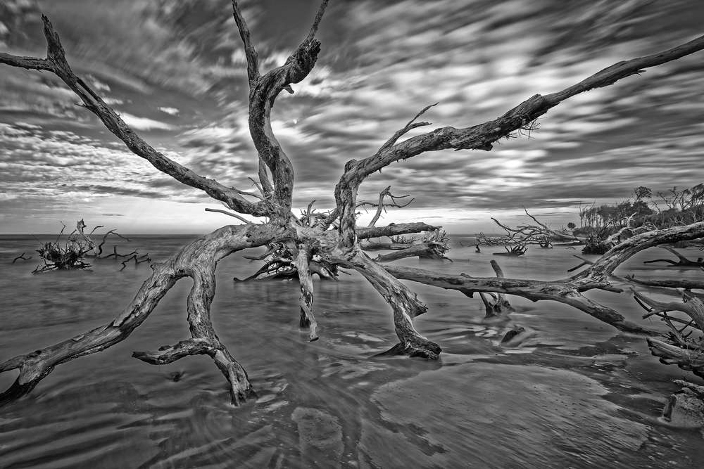 Photography Artists 2018 - Mainsail Art Festival